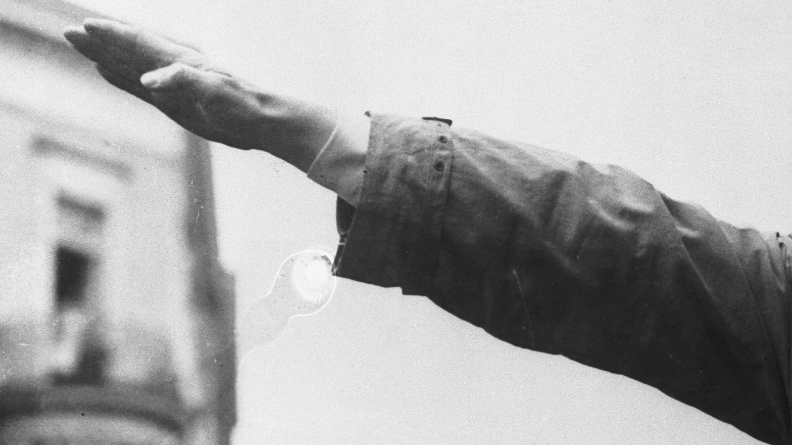 About – Michigan Tea